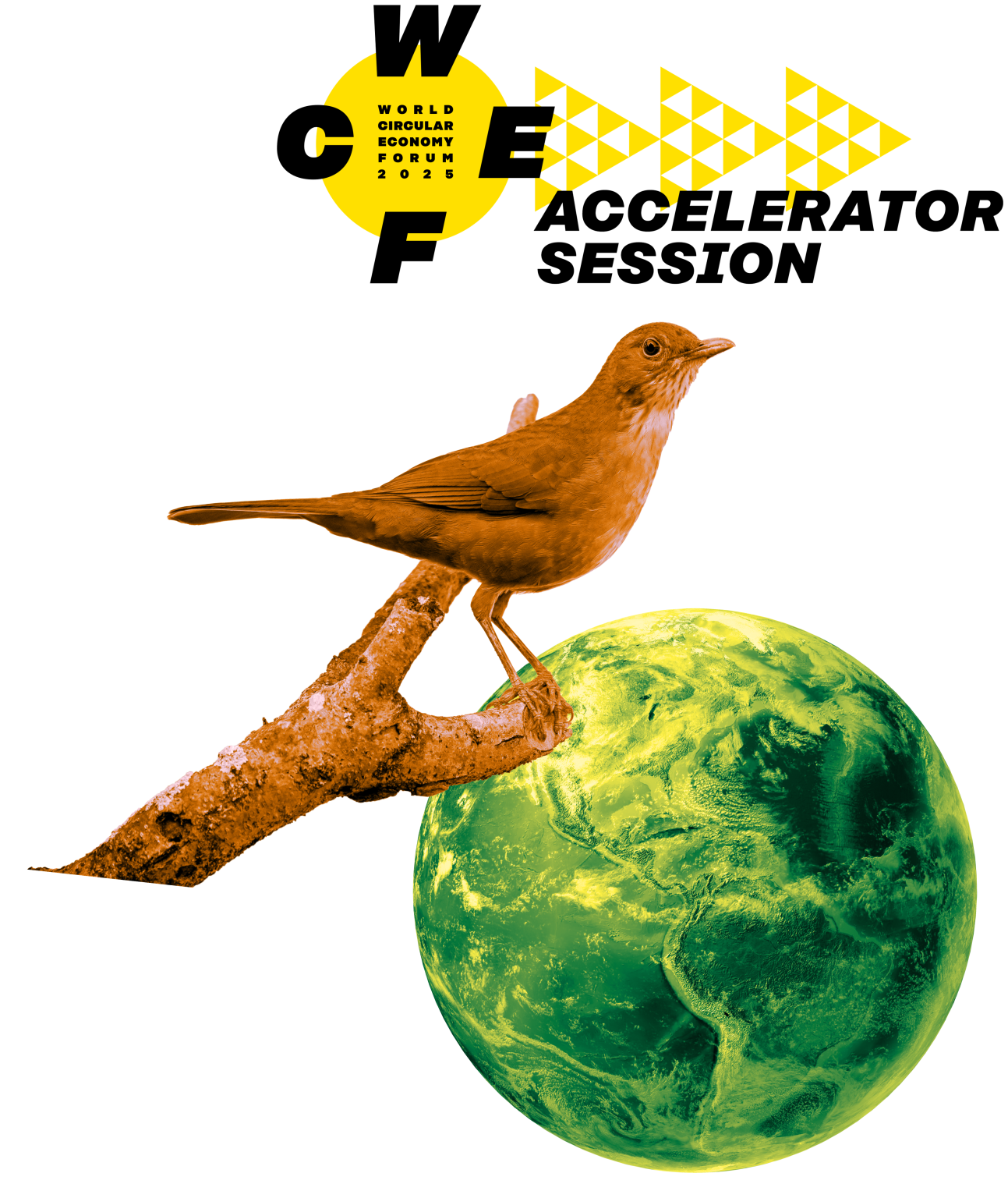 WCEF2025 – UERJ CRR